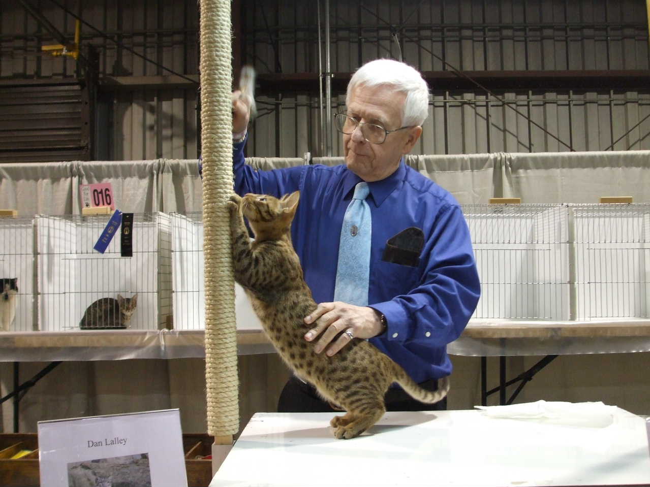 Special Attractions & Edu | World of Pets Expo